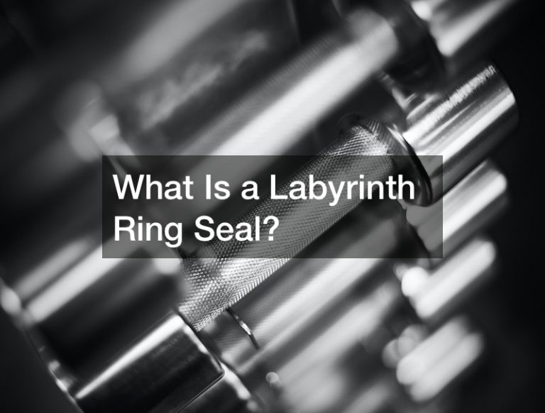 What Is a Labyrinth Ring Seal? - Daily Objectivist